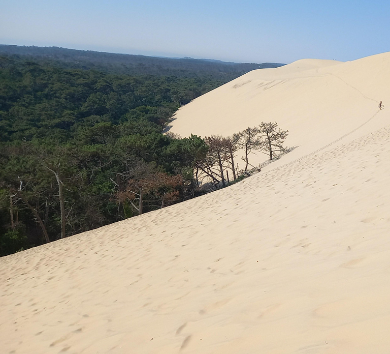 Get Ticket Dune du Pilat, Oysters Tasting and Arcachon! What else ...