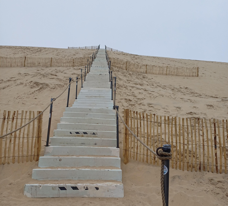 Get Ticket Dune du Pilat, Oysters Tasting and Arcachon! What else ...