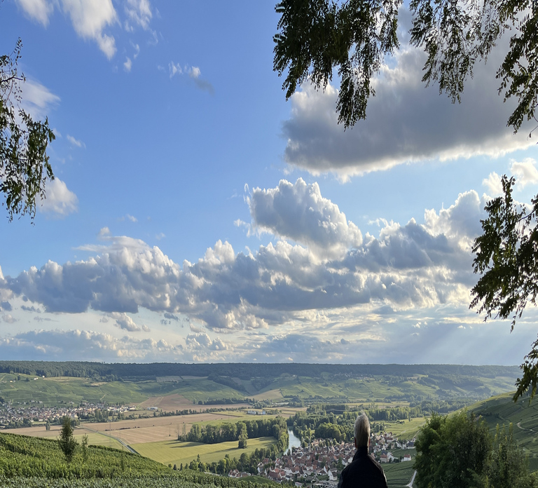 Tiket From Paris: Small-Group Champagne Tour with 3-Course Lunch Harga ...