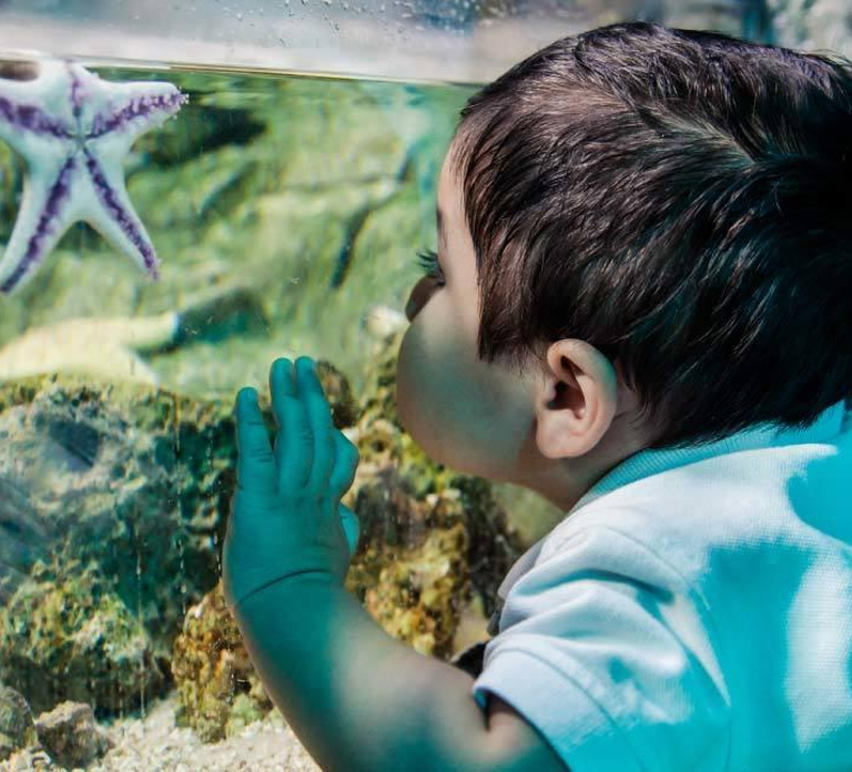 Get Ticket SEA LIFE Paris: Admission Ticket Promo Prices - tiket.com