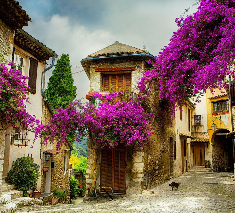 Tiket From Nice: Provence and its Medieval Villages Full-Day Tour Harga ...