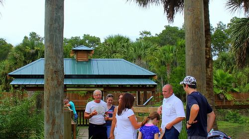 Tiket Orlando: Wild Florida Park Ticket and Gator Shows Day Tours Harga ...