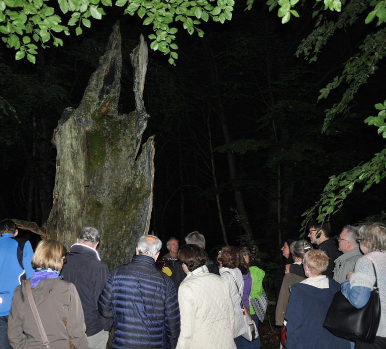 Get Ticket Kassel: Kassel's lost city by night Promo Prices - tiket.com