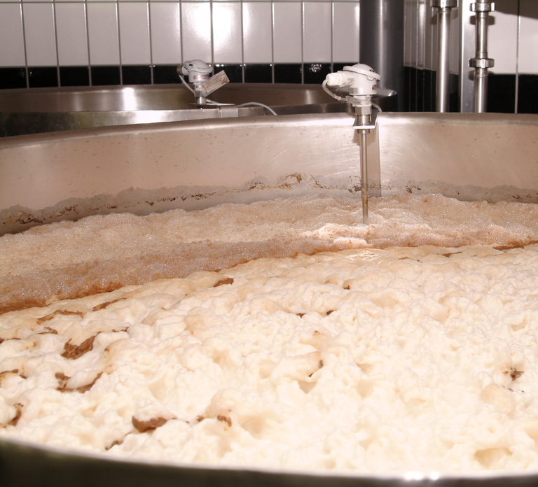 Get Ticket Munich's Beer Halls and Breweries: 3-Hour Guided Tour Promo ...