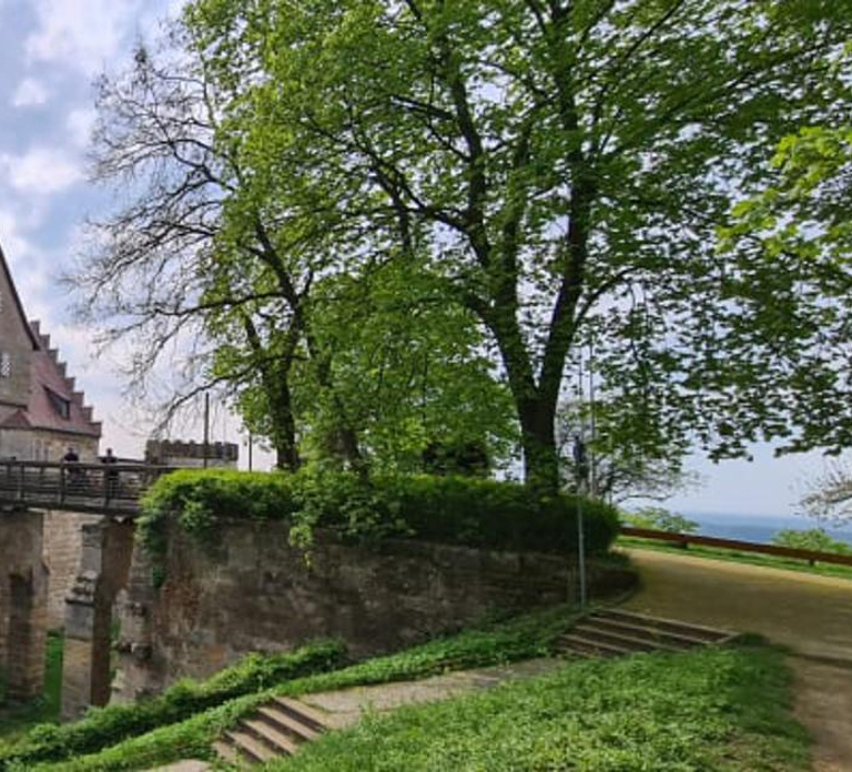 Tiket Bamberg: Beer & Brewery Tour - 2 Hour - English Or German Harga ...