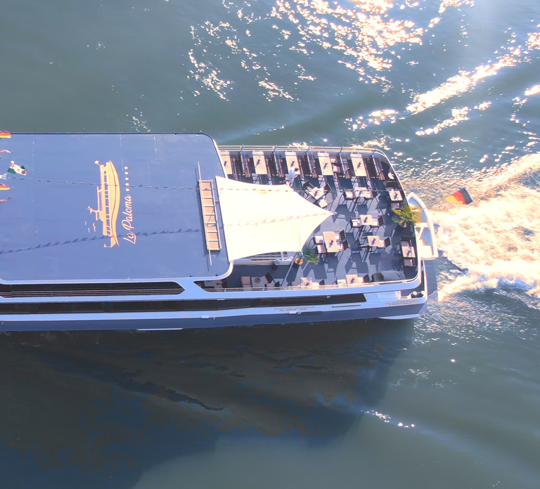 Tiket Koblenz:Rhine Valley boat tour along the castles and palaces ...