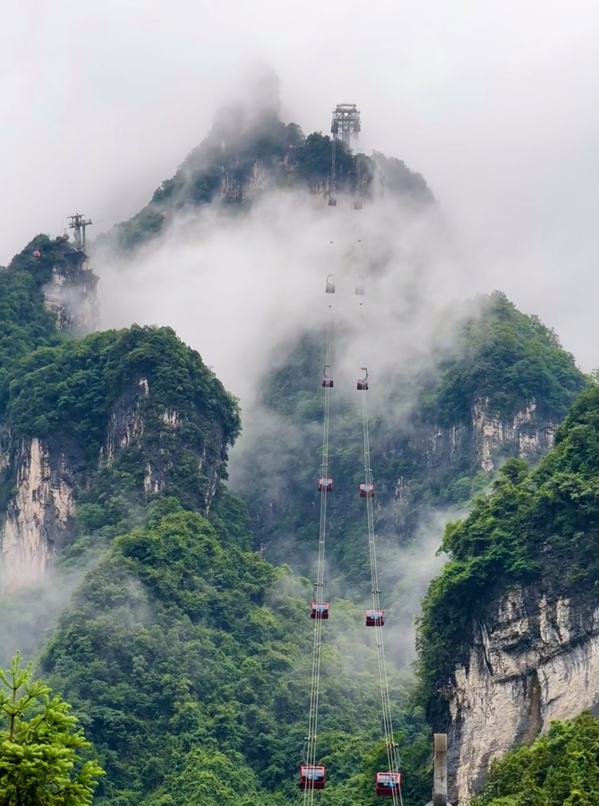 Get Ticket One-day tour of Zhangjiajie Tianmen Mountain National Forest ...
