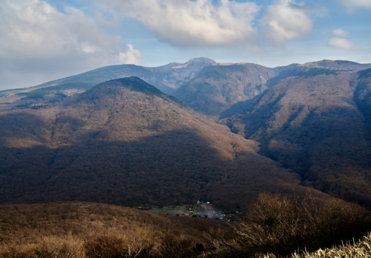 Tiket Jeju Spring Blossom Tour | Instagrammable Photo Spots Harga Promo ...