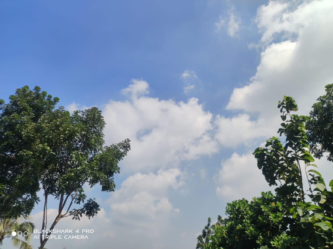 De Mangol View Jogja Diskon 50% Harga Tiket Masuk