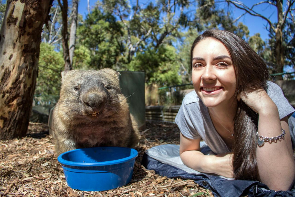 Cleland Wildlife Park Self Guided Tour from Adelaide 50% Off Tour Package
