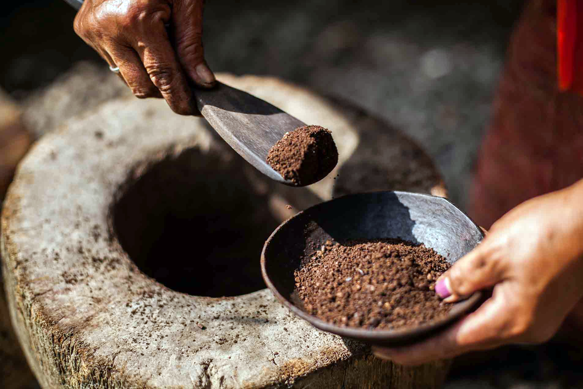 Desa Kopi Tour Education by Desa Bali Cashback 10% Harga Tiket Masuk 2024