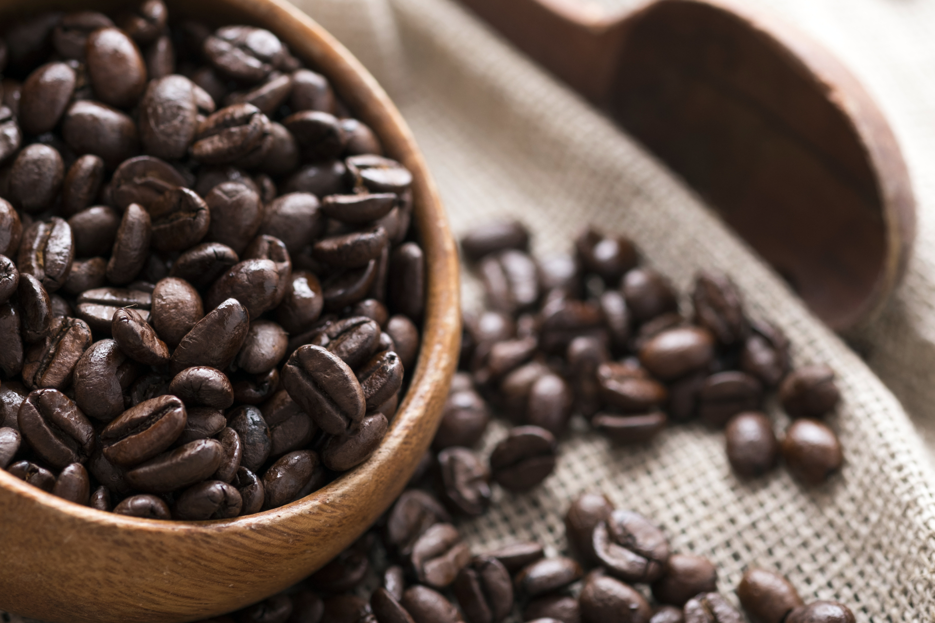 Desa Kopi Tour Education by Desa Bali Cashback 10% Harga Tiket Masuk 2024