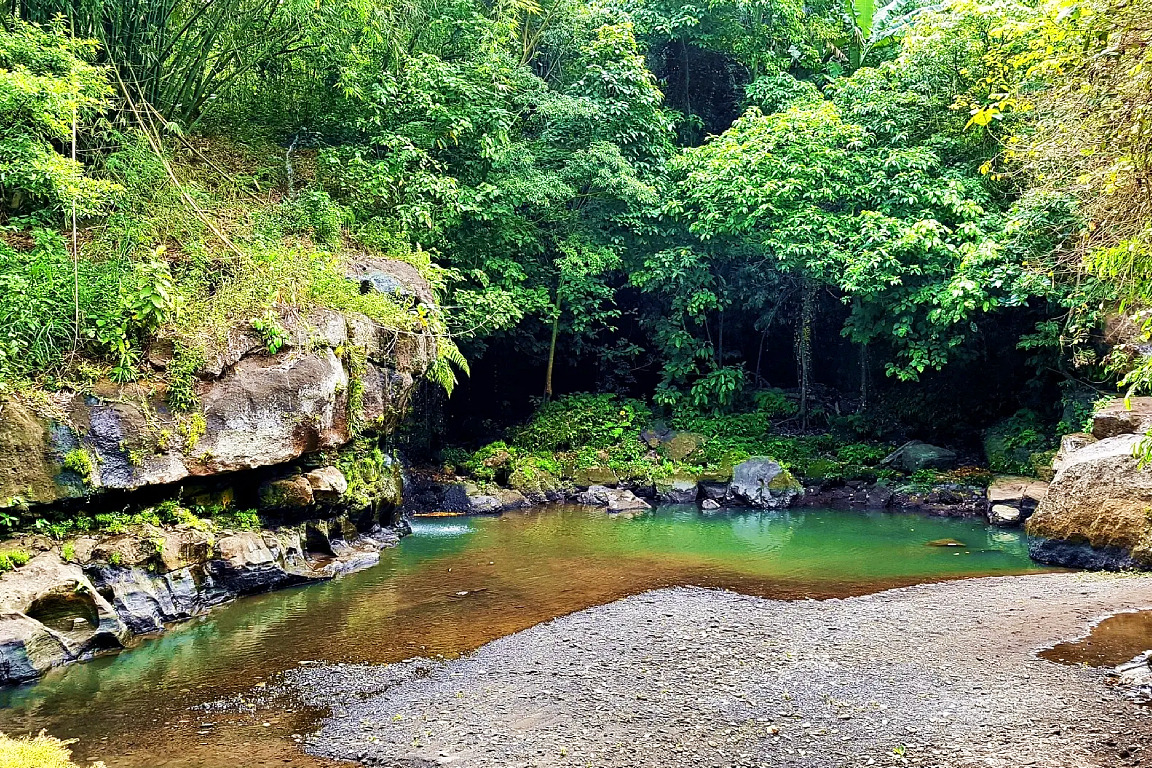 Beji Guwang Hidden Canyon Trekking Experience in Bali Diskon 50% Harga ...