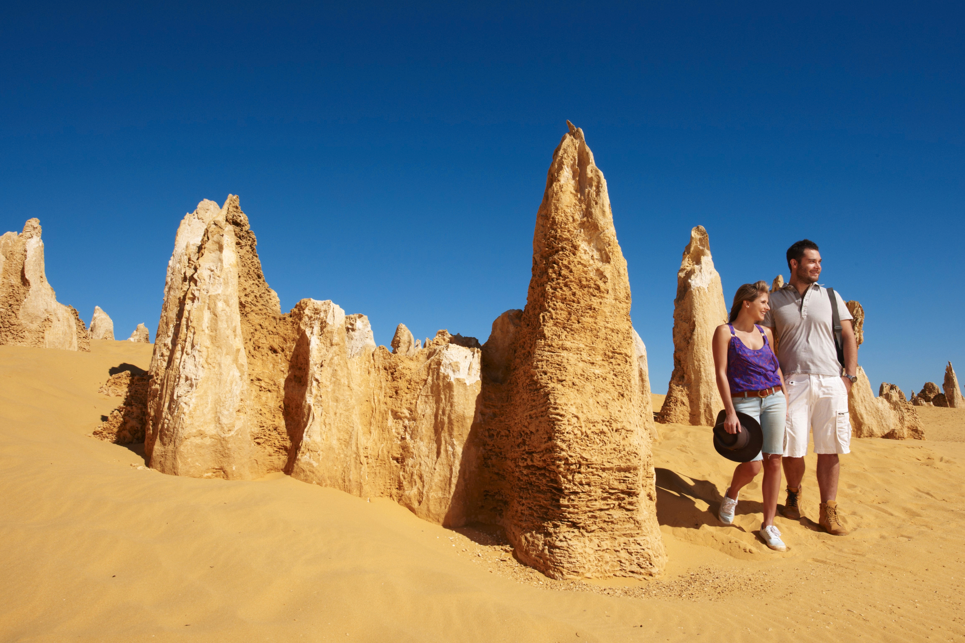 Pinnacles Sunset Stargazing Day Tour in Perth 50% Off Entry Ticket Price