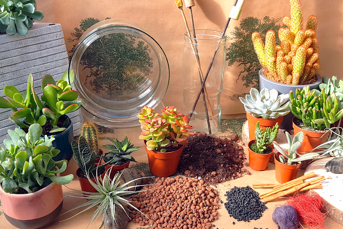 Tiket Terrarium DIY Home Kit or Workshop in Funan and Paya Lebar ...