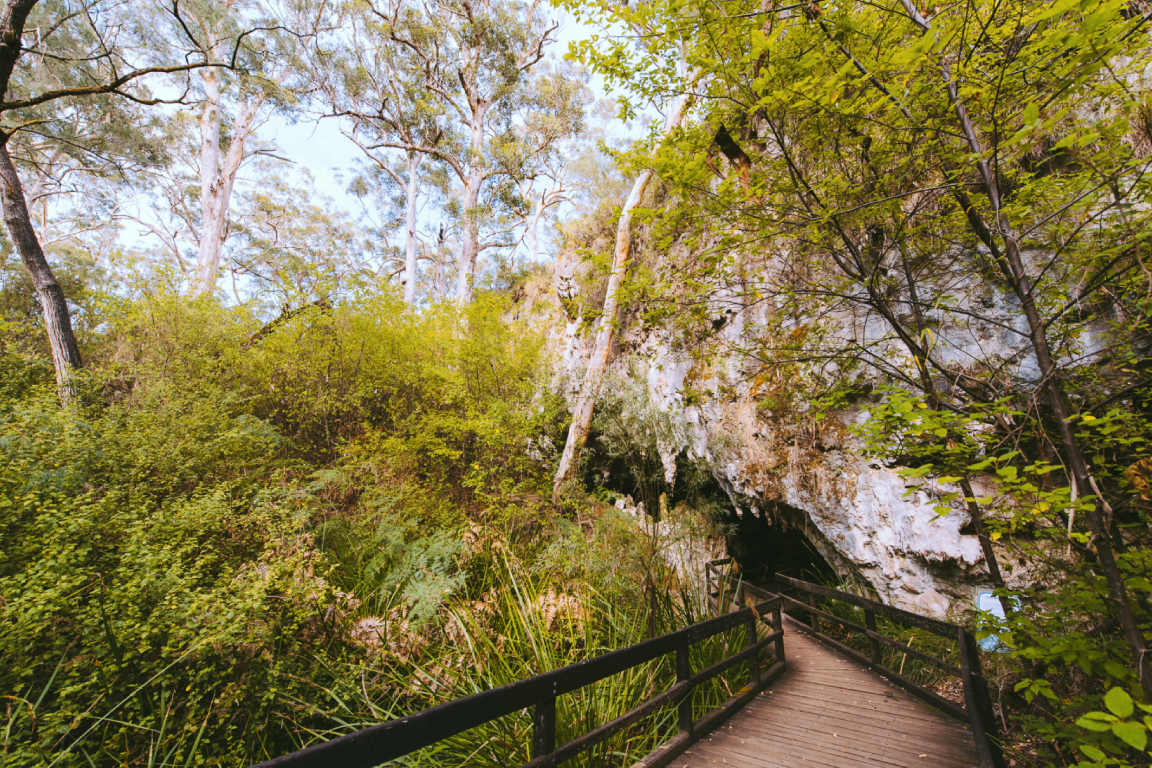Mammoth Cave Self-Guided Audio Tour in Margaret River 50% Off Entry ...
