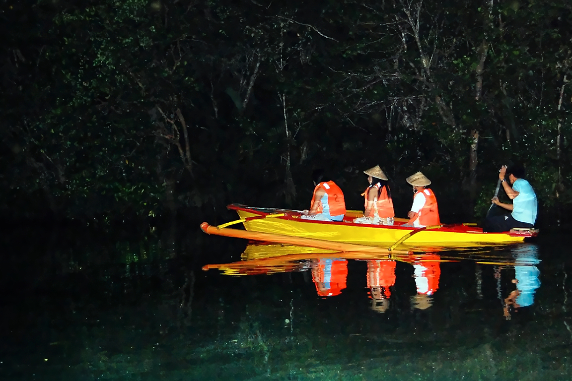 Tiket Bohol Firefly Tour Harga Promo - tiket.com