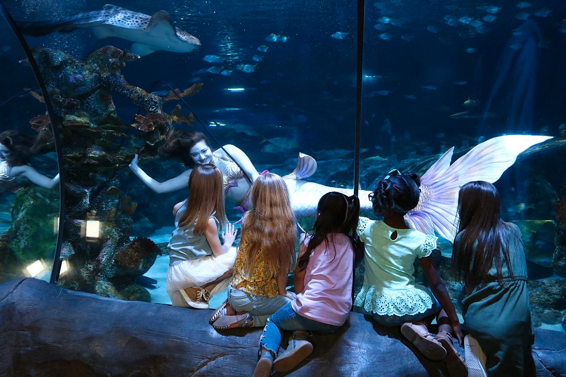 SEA LIFE Aquarium Ticket in Orlando - Newest Entry Ticket Prices
