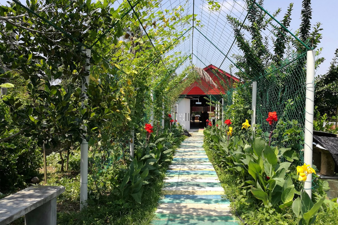 Audi Dream Farmin Penang Diskon 50% Harga Tiket Masuk