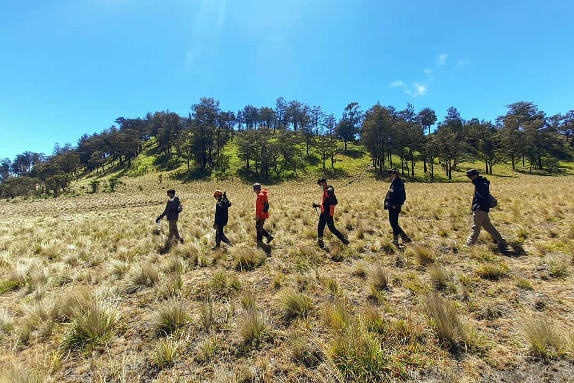 Open Trip Gunung Lawu by Kopdar Trip Indonesia Diskon 50% Paket Tur
