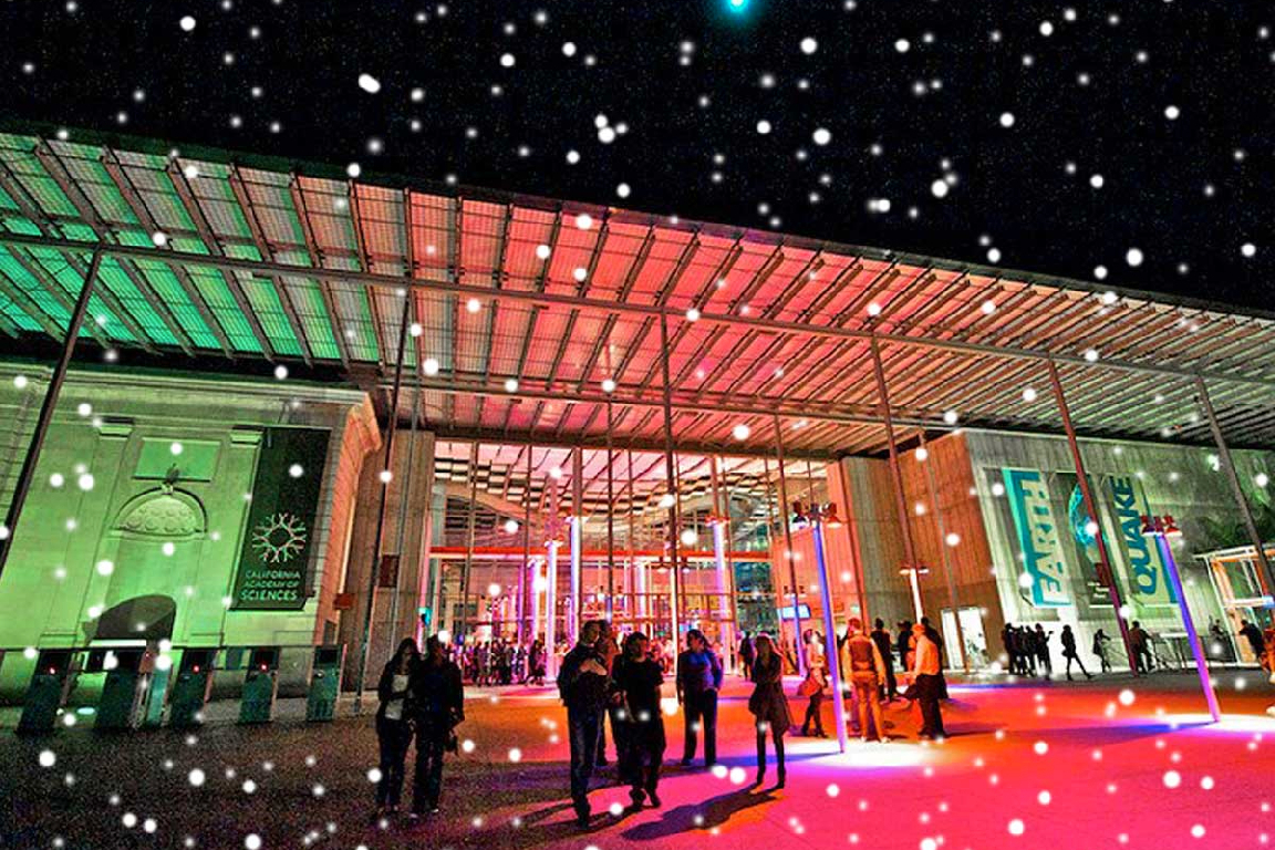 California Academy of Sciences NightLifein San Francisco Diskon 50% ...