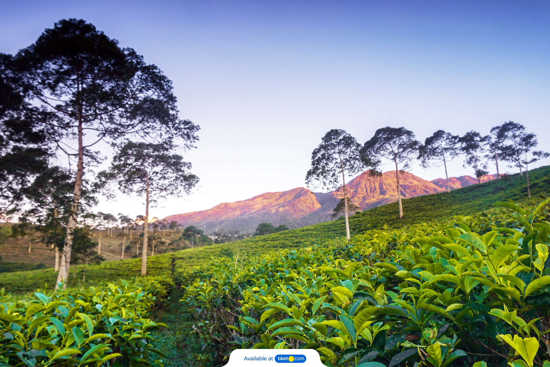 Open Trip Gunung Lawu by Kopdar Trip Indonesia 50% Off Tour Package