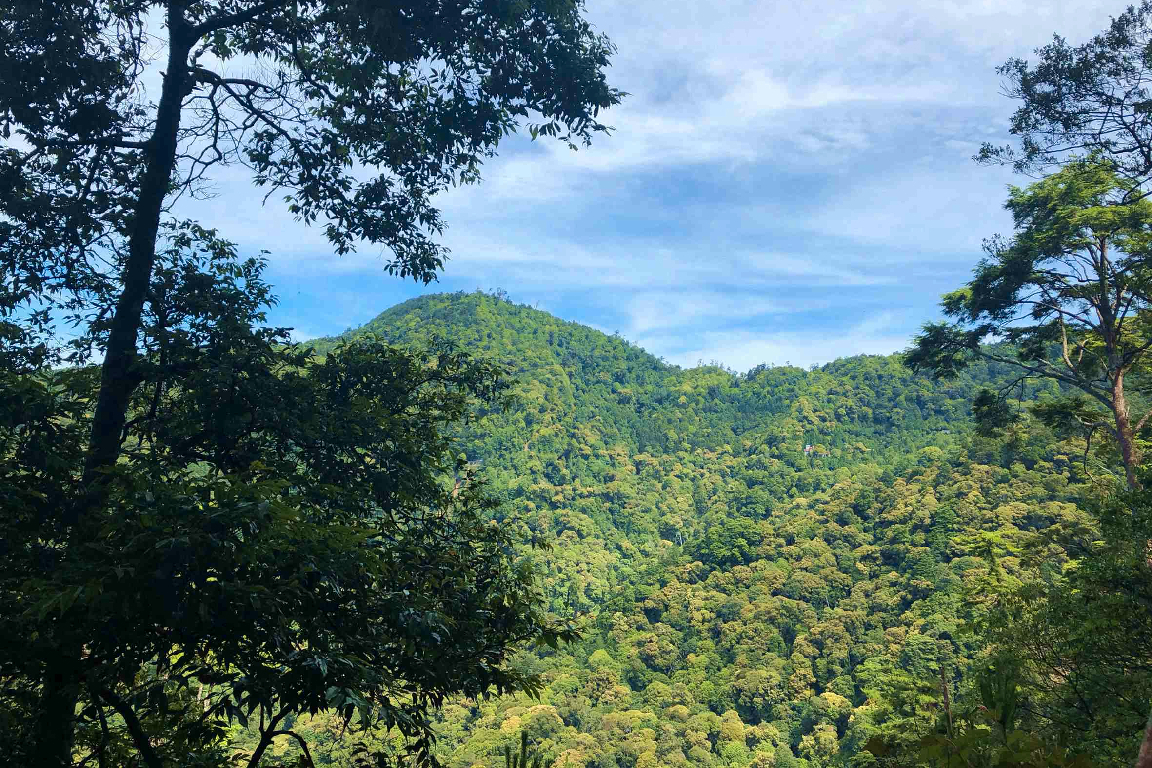 Tiket Dasyueshan National Forest Recreation Area Ticket in Taichung ...