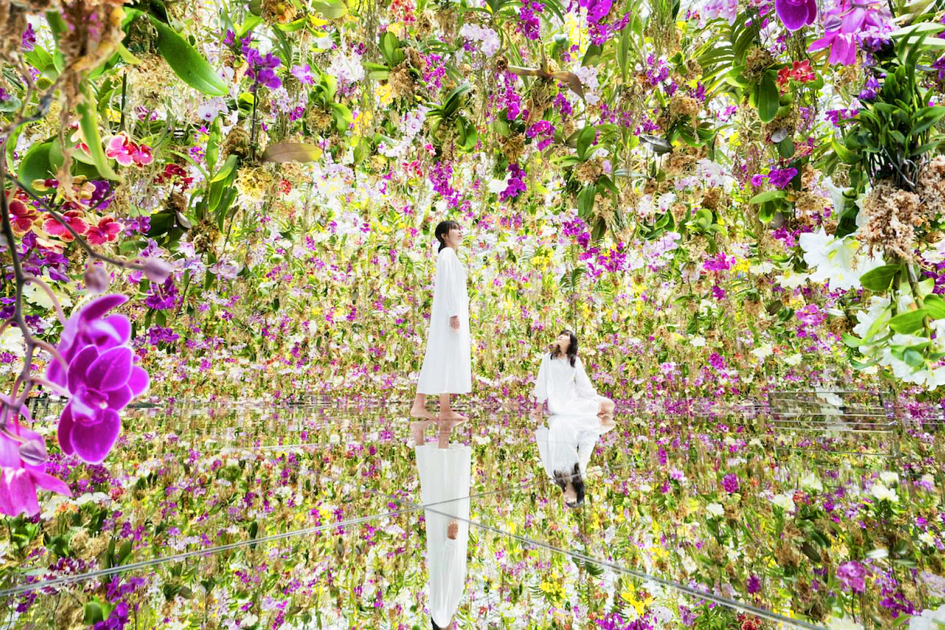teamLab TOKYO 50% Off Entry Ticket Price