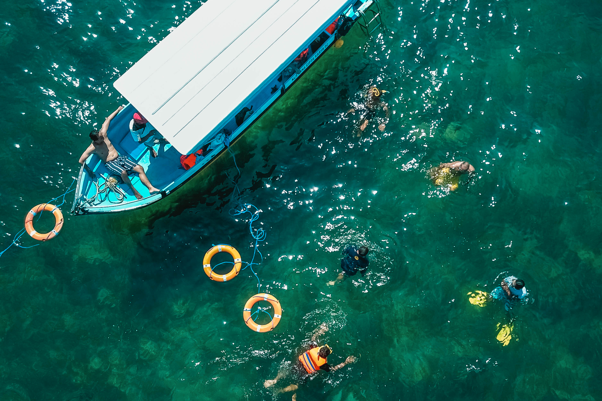 Turtle Island Tropical Snorkeling Mangrove Cruise Latest Promo Ticket ...