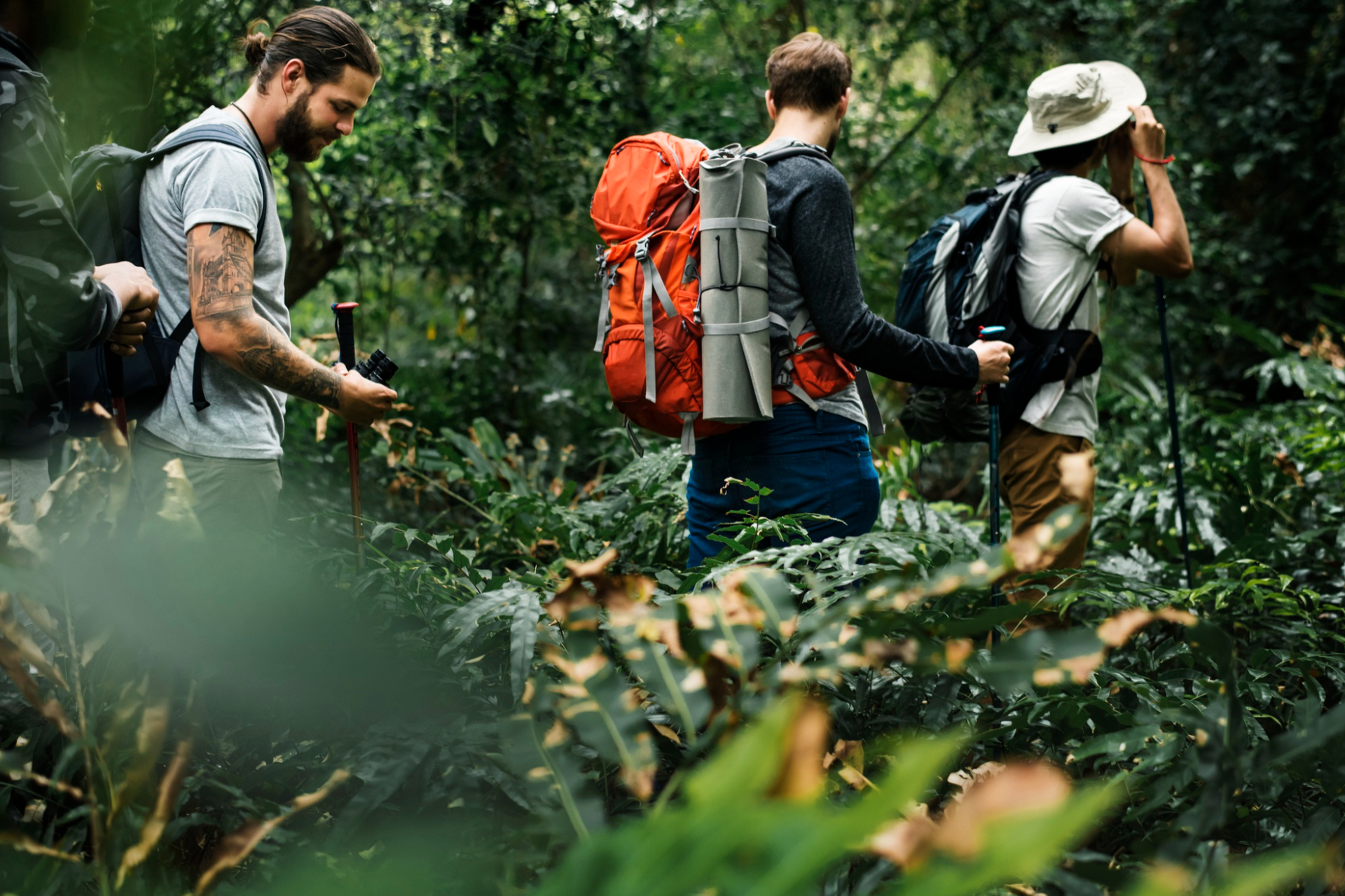 Trip Pendakian Gunung Argopuro by Rineh Adventure Harga Promo Terbaru