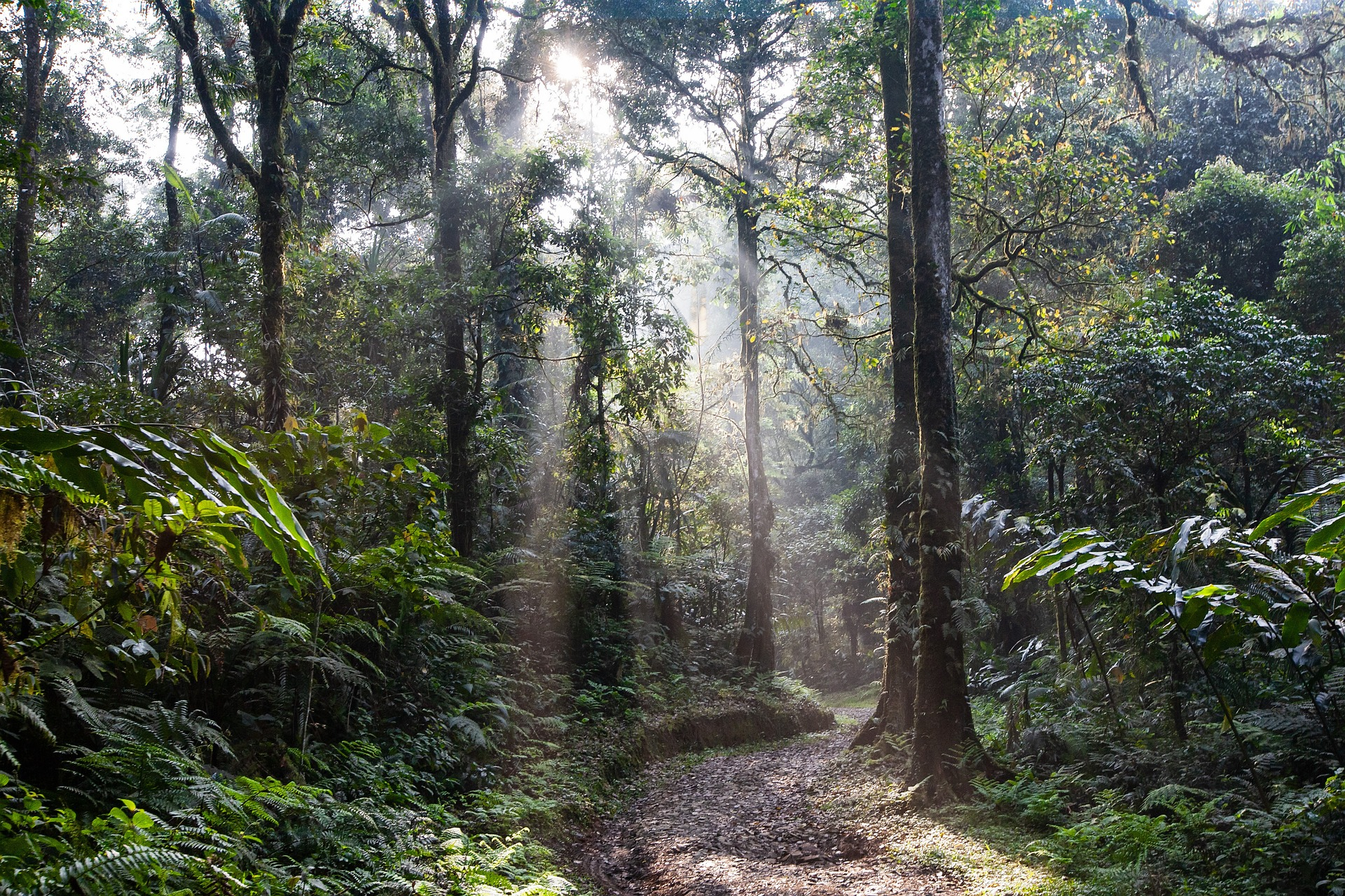 Trip Pendakian Gunung Argopuro by Rineh Adventure Harga Promo Terbaru