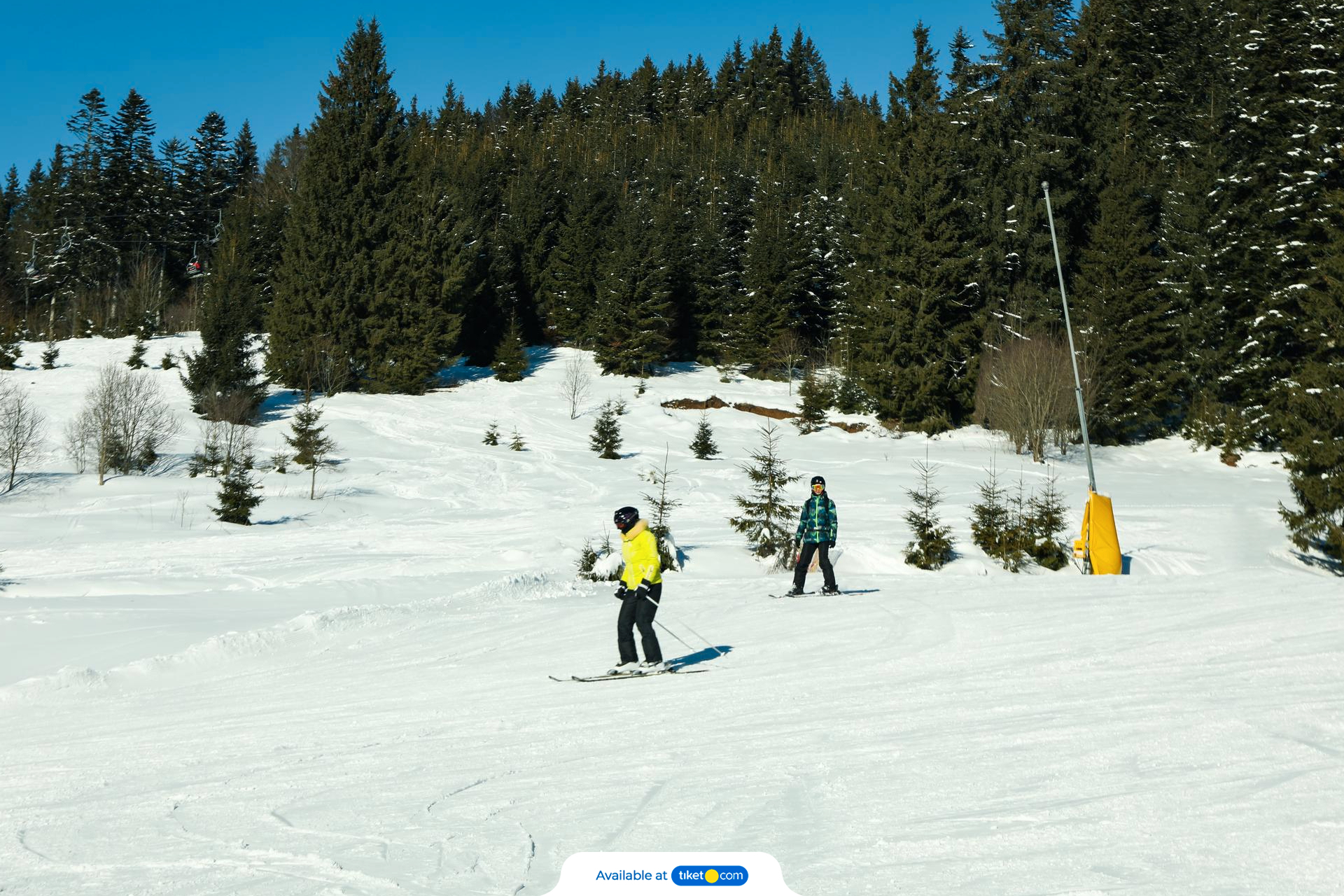 Tiket Jisan Forest Ski Resort Day Trip from Seoul - Harga Tiket Masuk ...