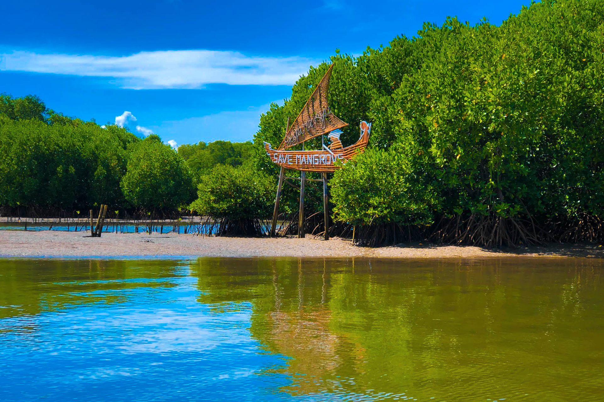 Turtle Island Tropical Snorkeling Mangrove Cruise Latest Promo Ticket ...