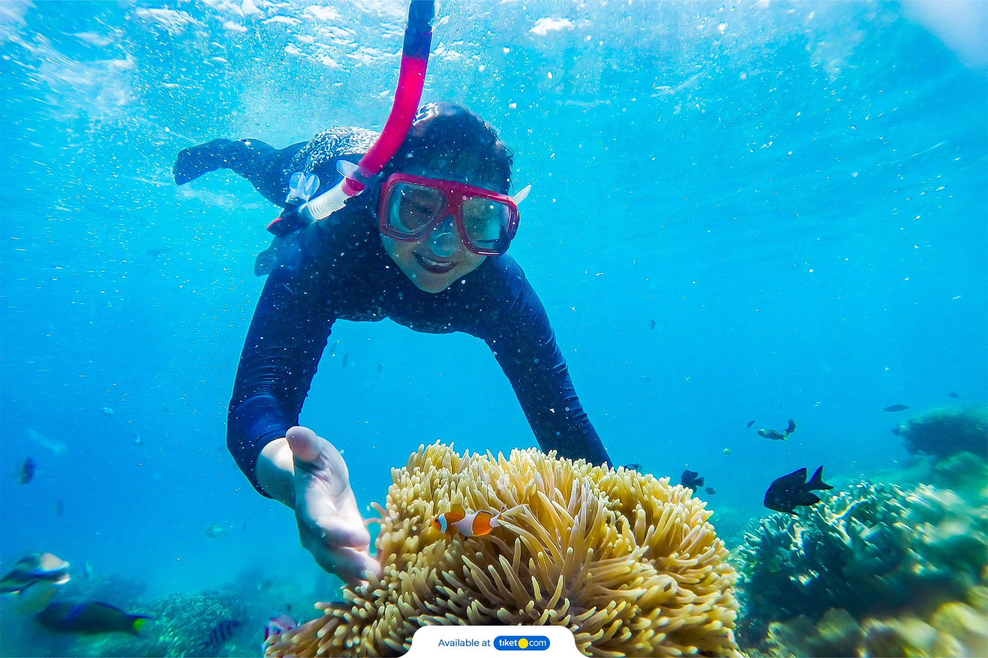 2D1N Open Trip Pulau Harapan Start Marina Ancol by GoExplore Diskon 50% ...