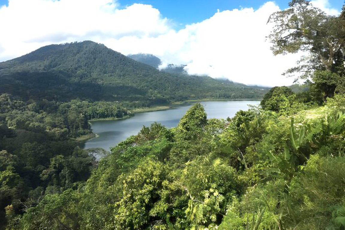 Bali Jungle Trekking Through Beautiful Rain Forest & Exploring Lake ...