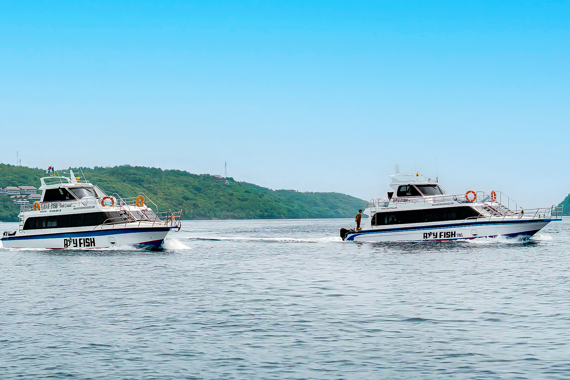 Ray Fish Fast Cruise - Cruise dari Sanur ke Nusa Penida 50% Off Entry ...