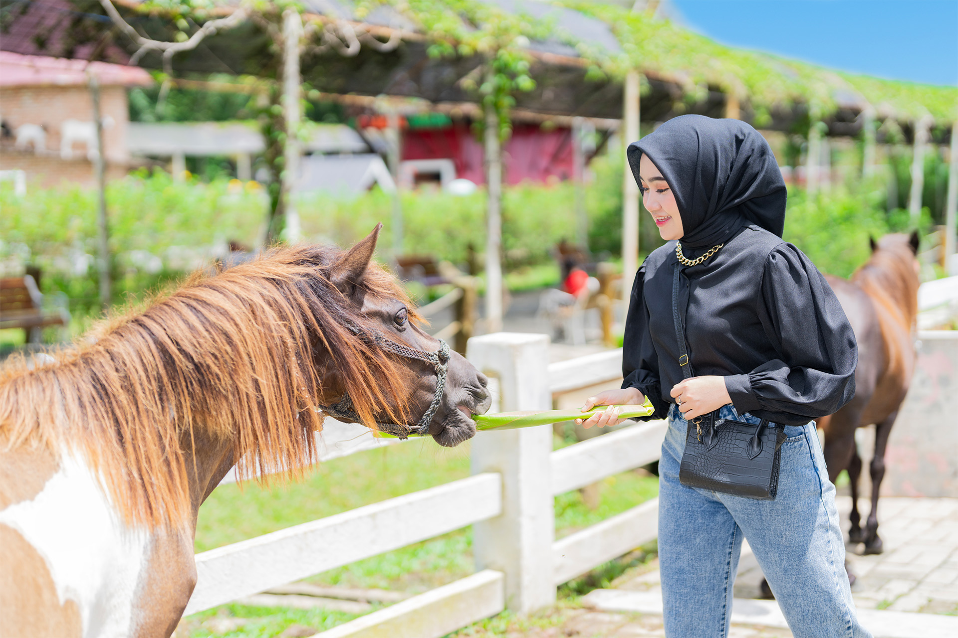 Tiket Theme Park Asia Farm - Harga Tiket Masuk Terbaru