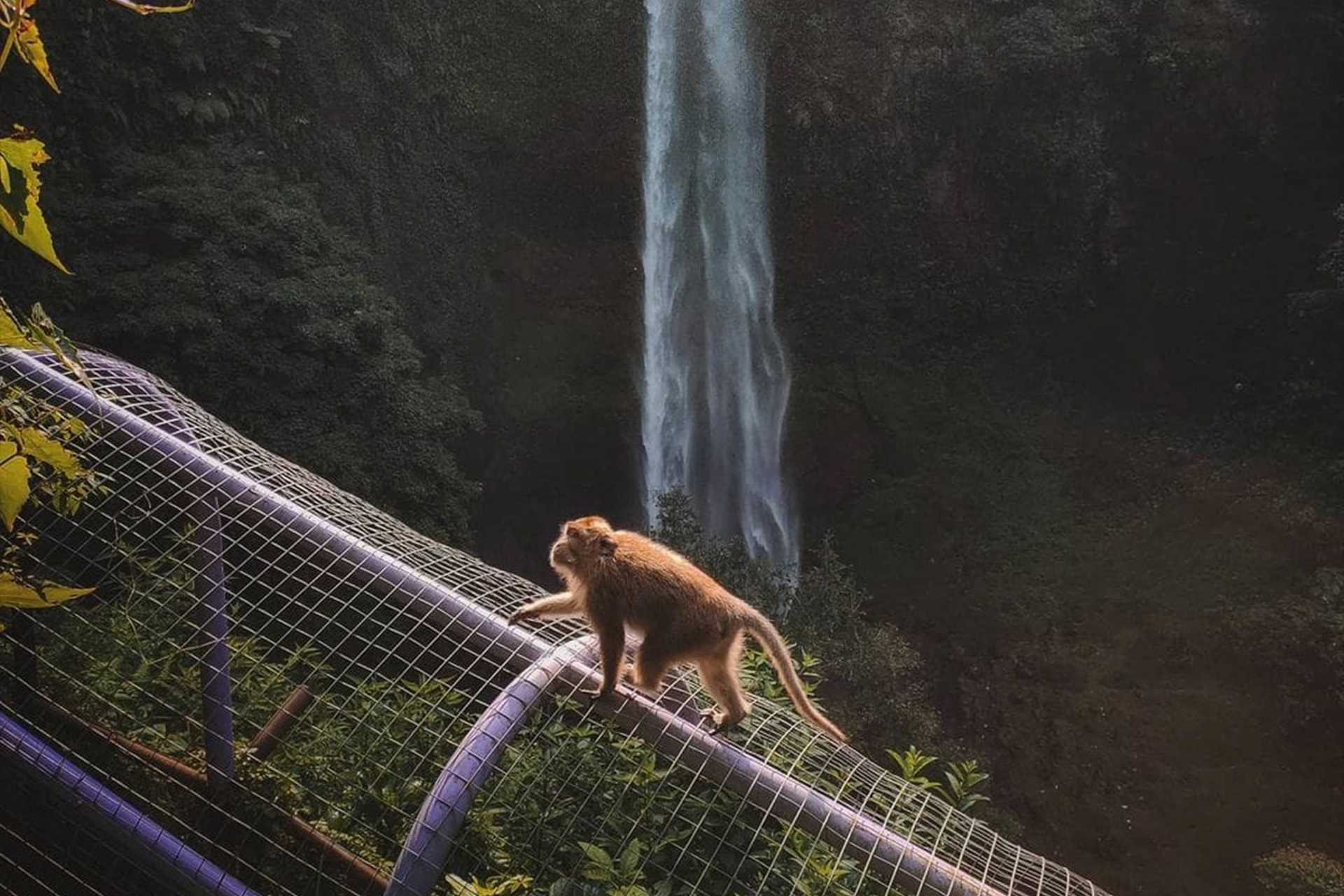Tiket Curug Cimahi Harga Promo - tiket.com