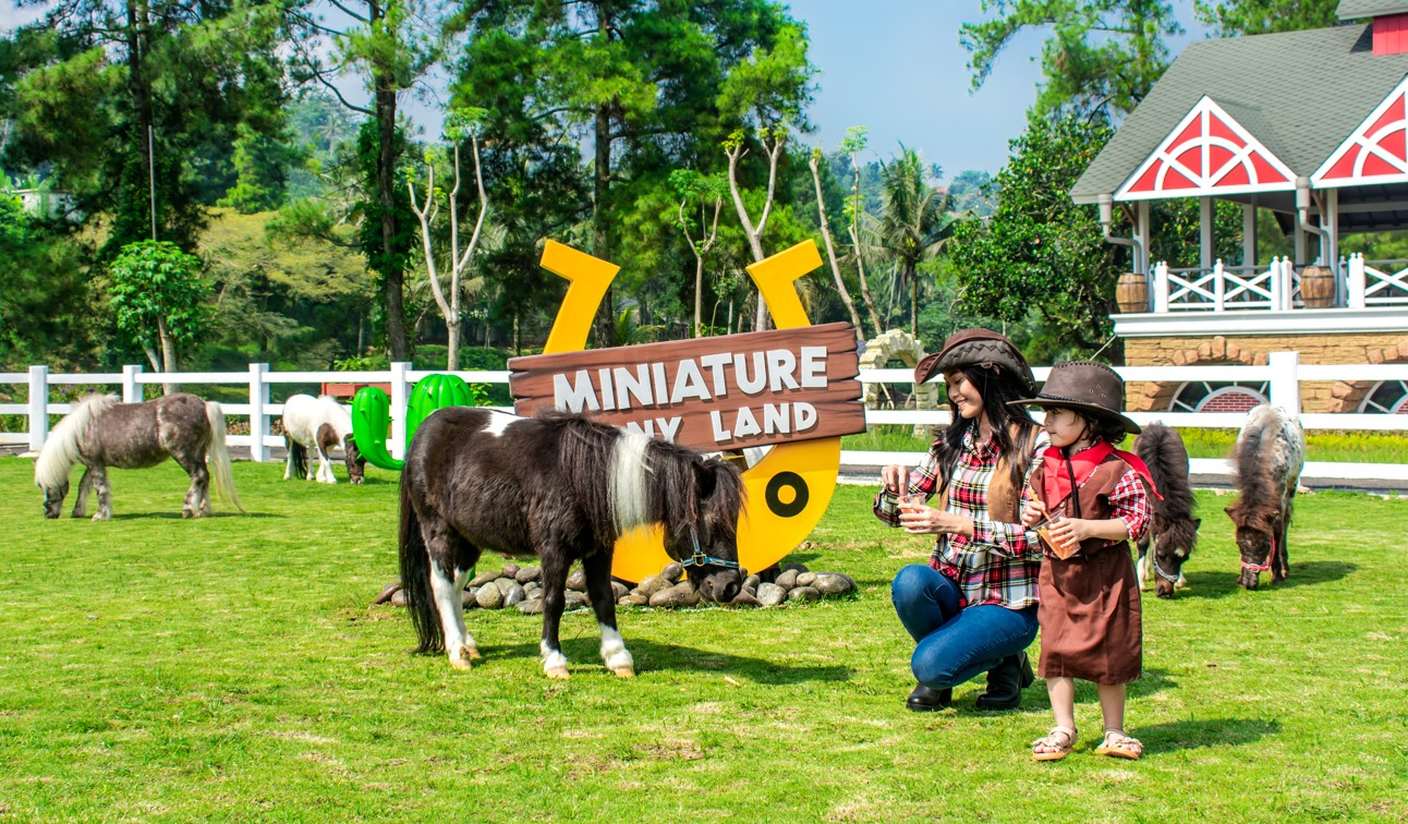 Beli Tiket Dairyland Farm Theme Park Puncak Diskon s.d. 30% 🎟️