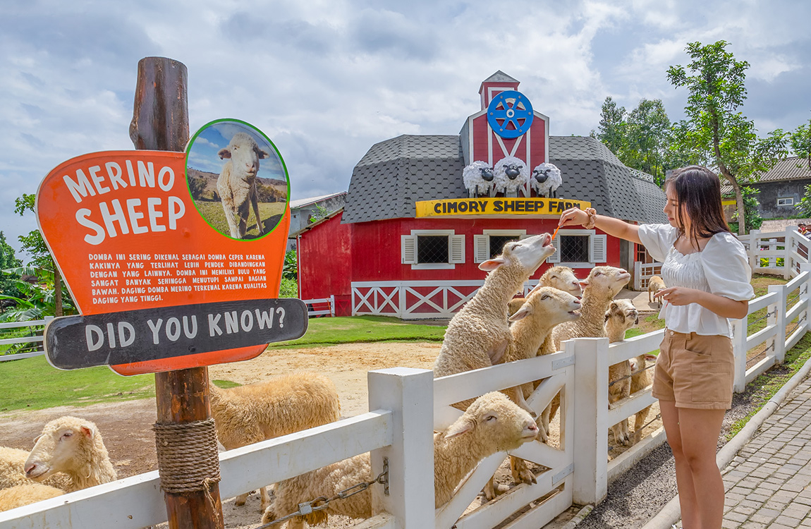 Get Ticket Dairyland Farm Theme Park Prigen Promo Prices - tiket.com