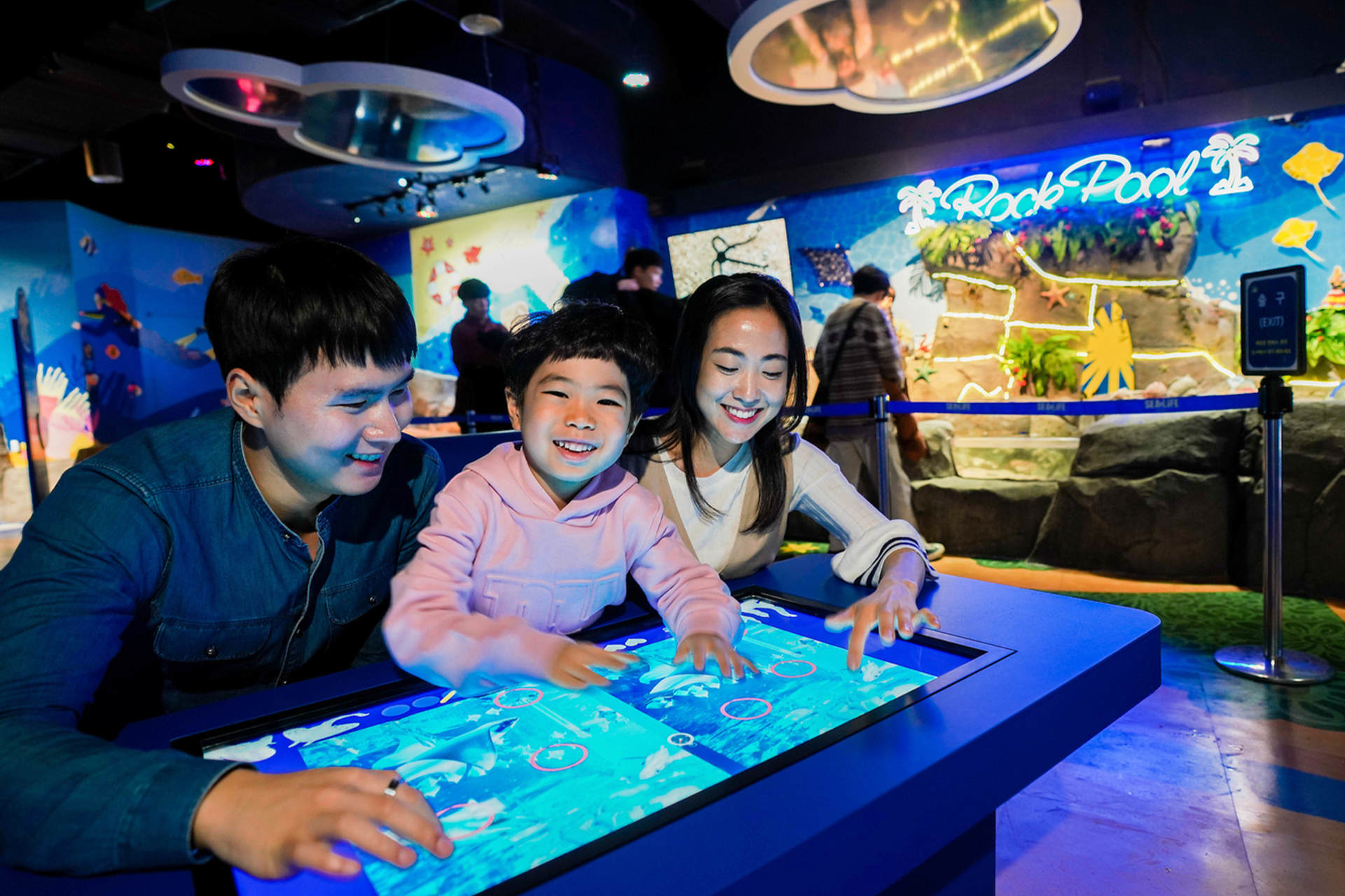 Buy SEA LIFE Busan Aquarium Ticket Ticket Promo Price - tiket.com