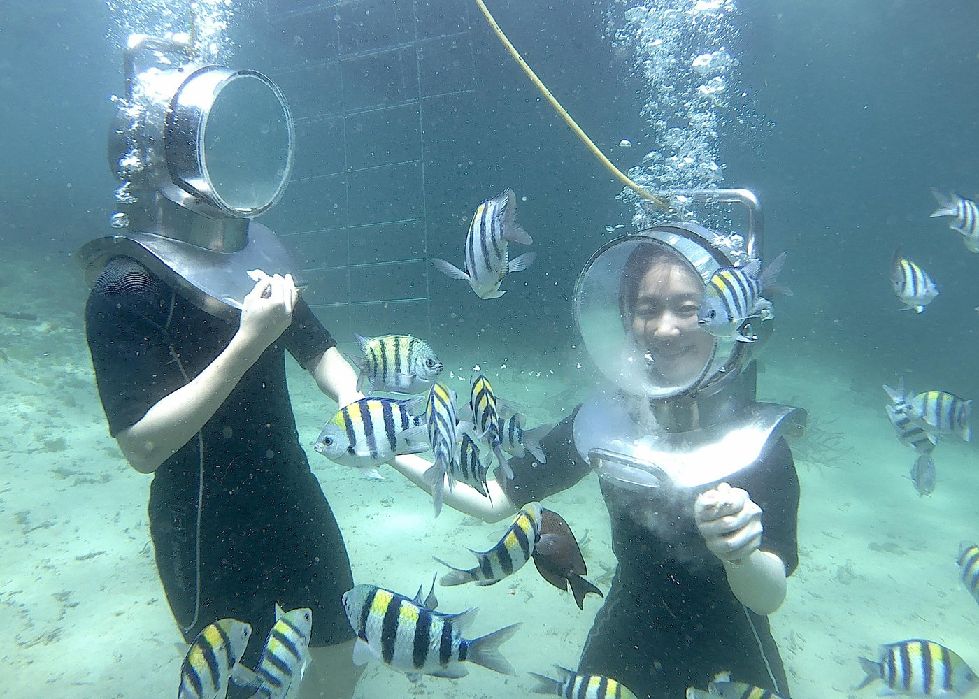 Bali Seawalker Package - Newest Promo Price