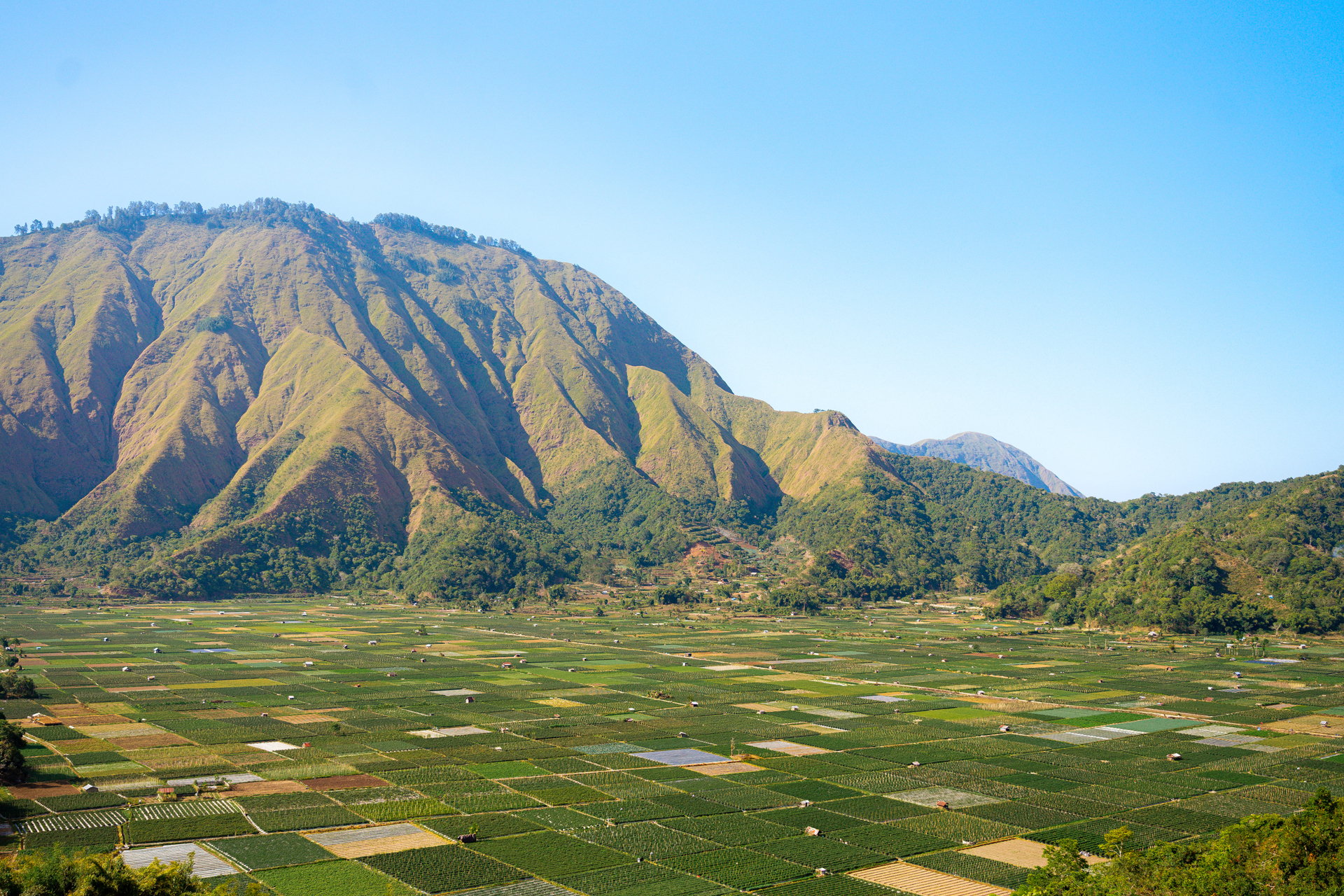Tiket Green Ridge Quest: 1-Day Pergasingan Hill Hike by Bobobox ...