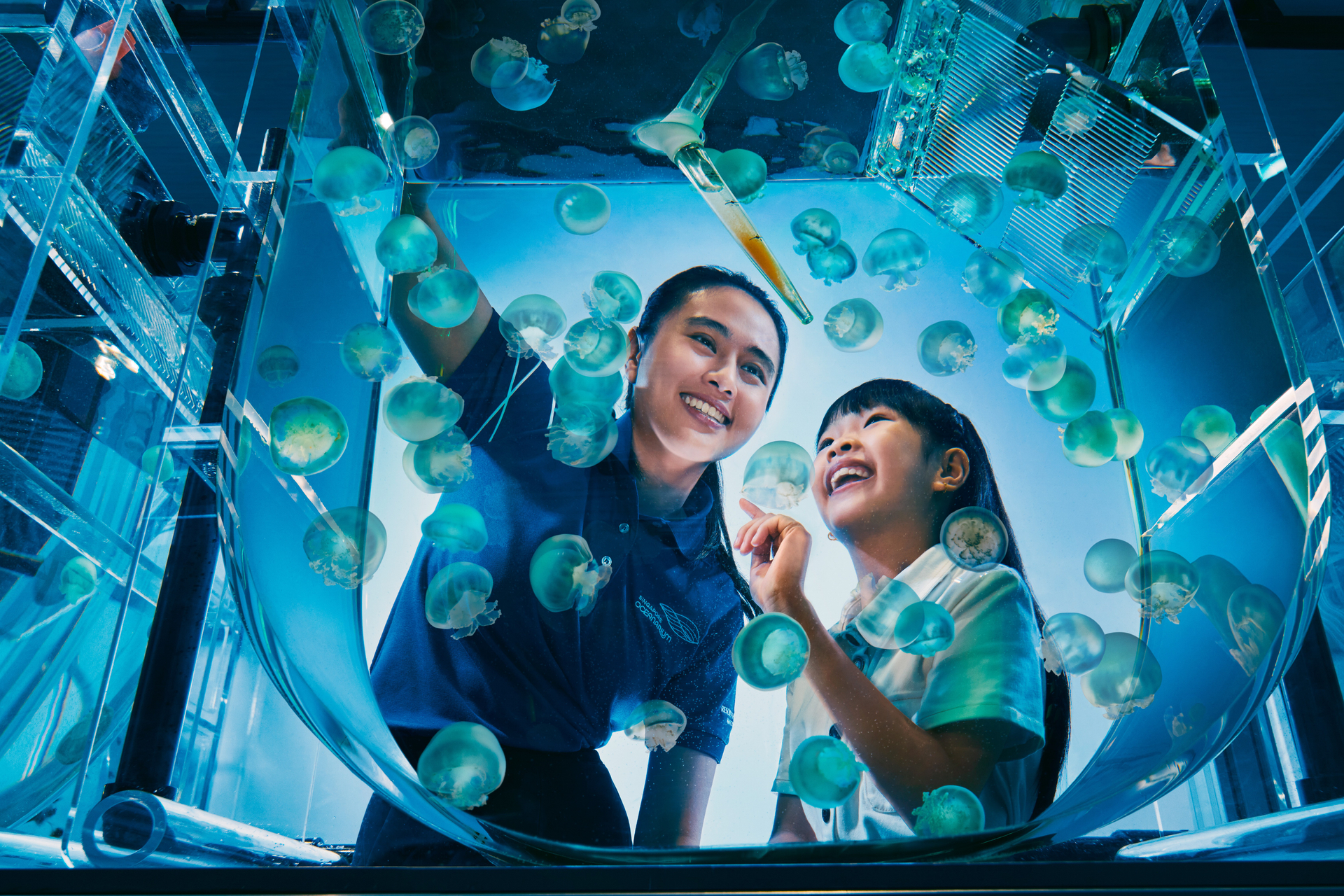 Singapore Oceanarium – Newest Ticket Price