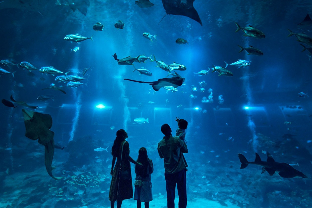 Singapore Oceanarium – Newest Ticket Price