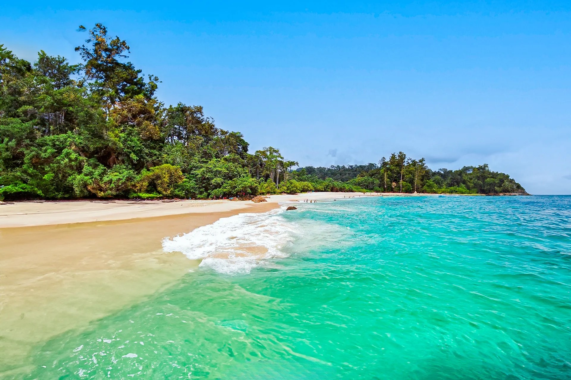 Private Trip One Day De Djawatan - Wedi Ireng Teluk Ijo - Pulau Merah ...