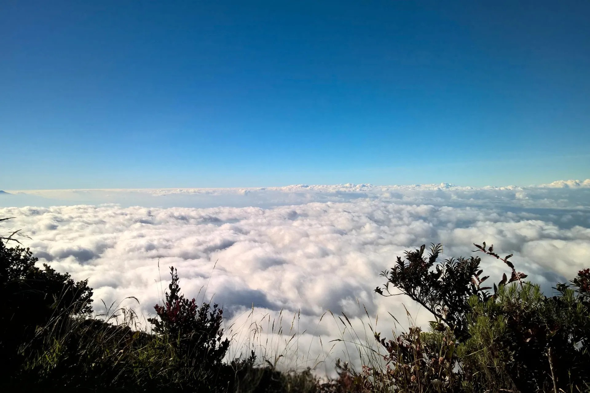 Trip Pendakian Gunung Lawu by Rineh Adventure Harga Promo Terbaru