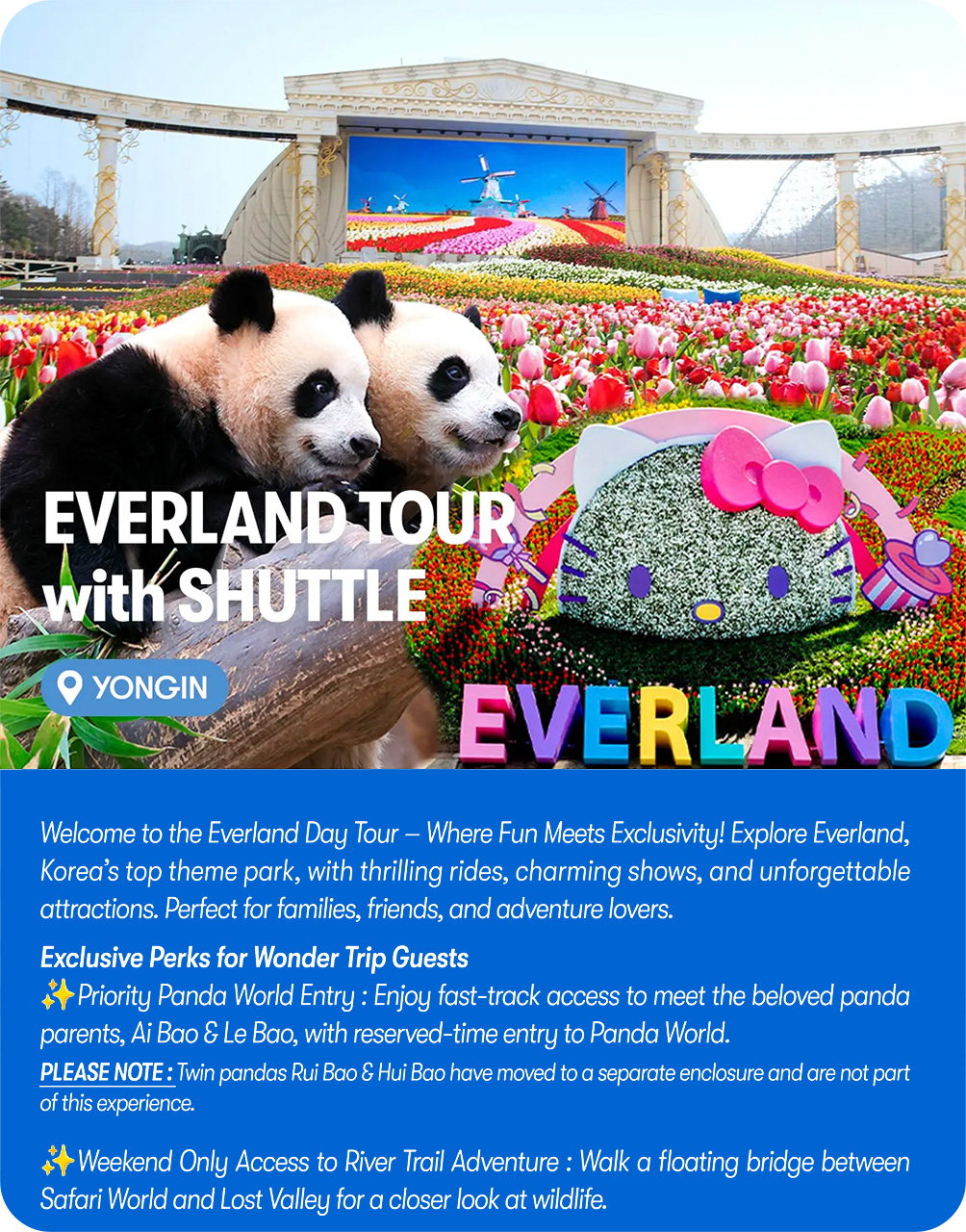 Everland Day Tour Exclusive Priority Admission and Meal Coupon 50% Off ...