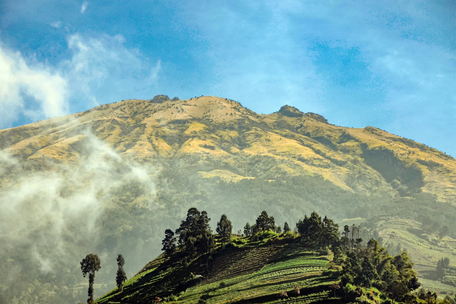 Mount Sumbing Climbing Trip by Rineh Adventure Latest Promo Prices 2024