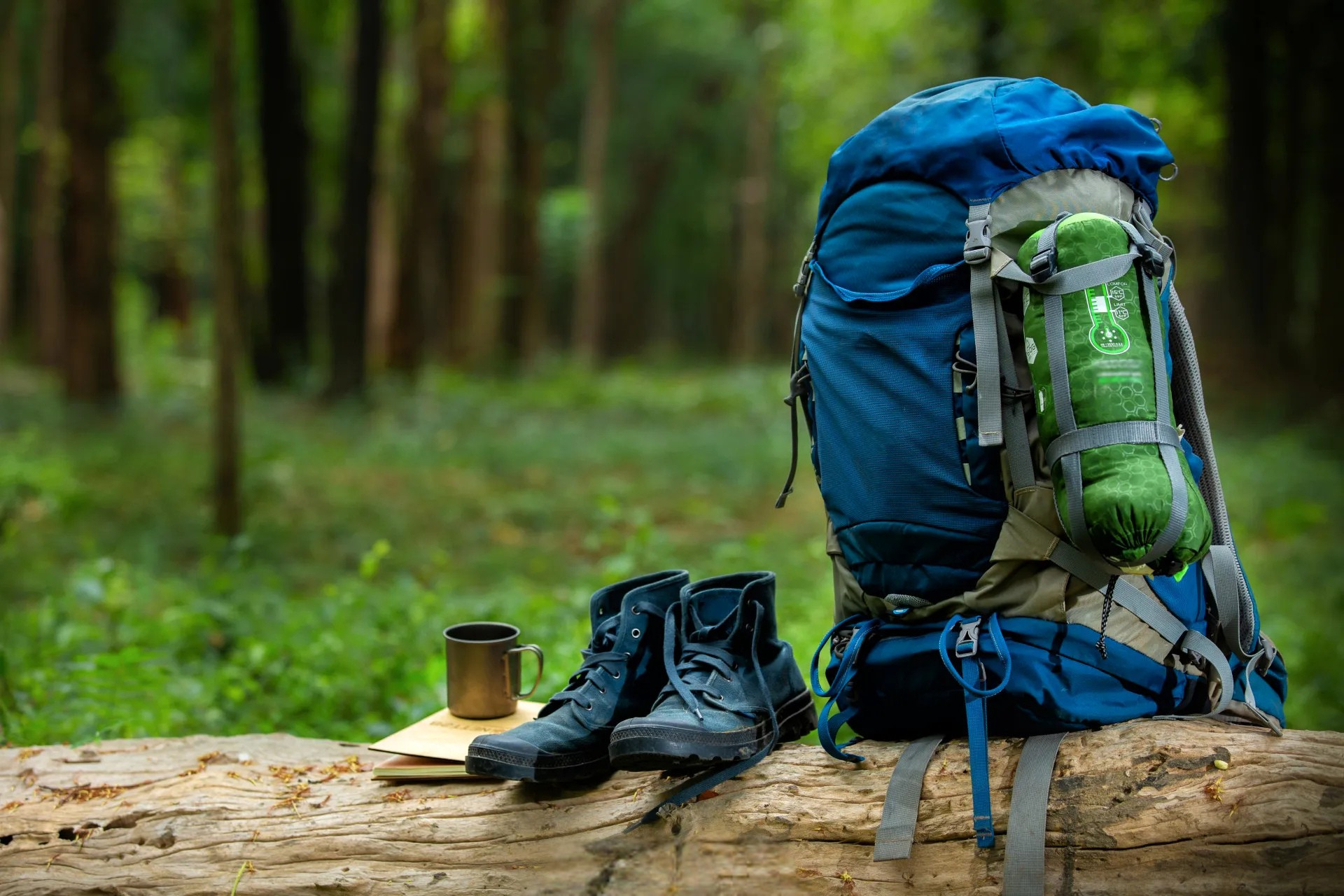 Trip Pendakian Gunung Argopuro by Rineh Adventure Harga Promo Terbaru